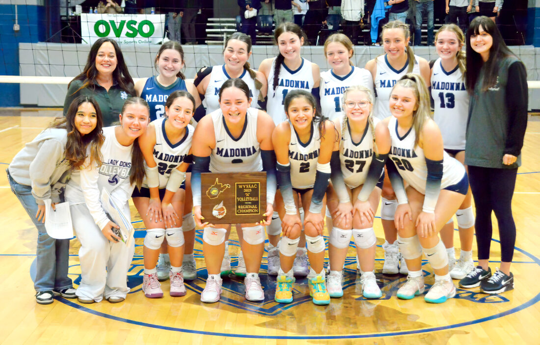 Dons battle back for first state tourney trip | News, Sports, Jobs ...